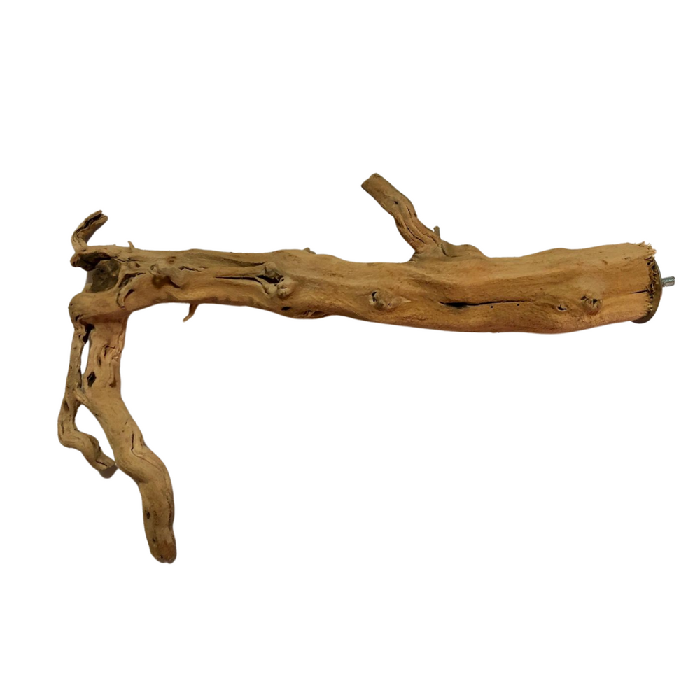 Grapevine Perches – Parrot Supplies Co